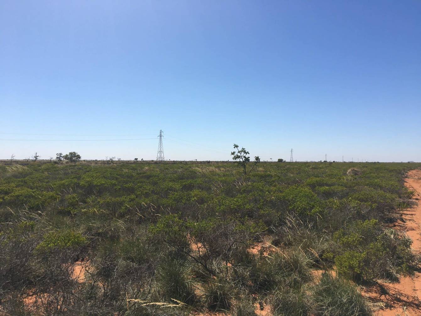 In The Media | Pilbara Solar