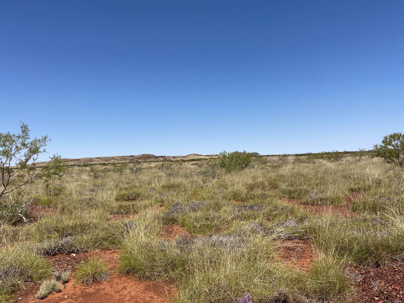 Next phase of planning for Junja Solar Farm - Pilbara Solar